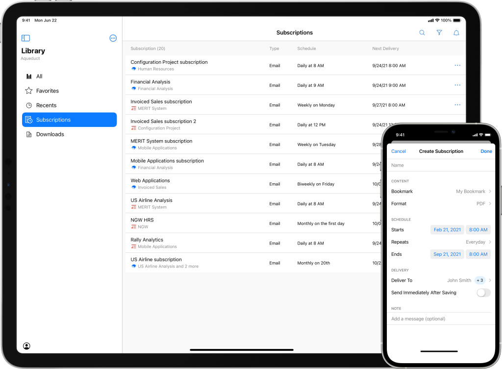MicroStrategy: The Transition from Web to Library Interface - crmt.com